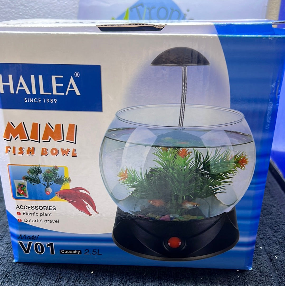 Hailea mini glass fish bowl with light (V01) – Tropical Aquarium