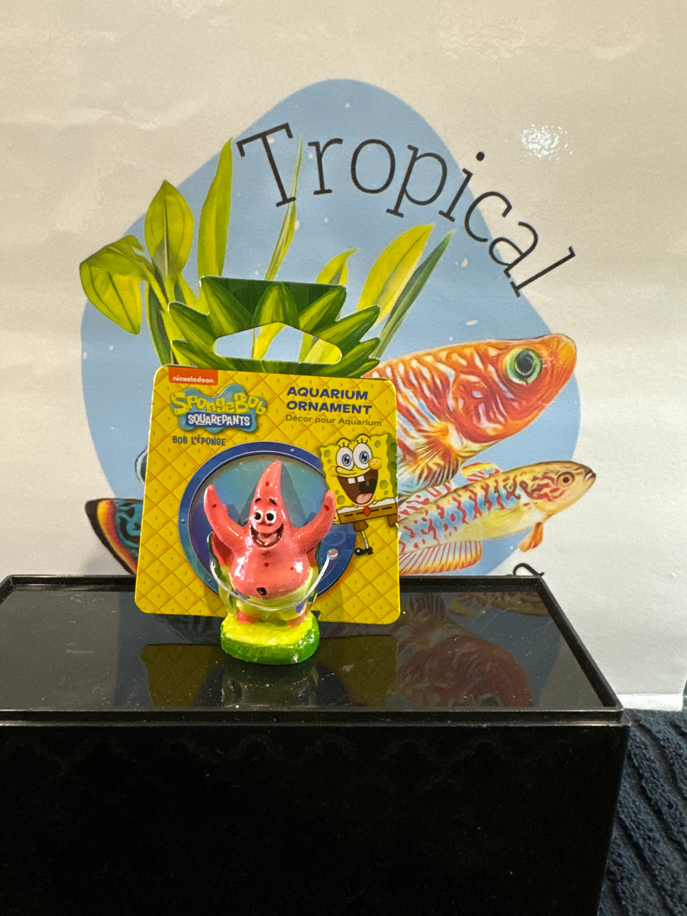 SpongeBob SquarePants ornament – Tropical Aquarium