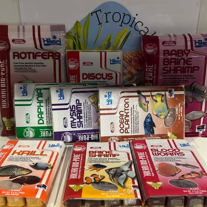 Buy Fish Foods Online – Tropical Aquarium