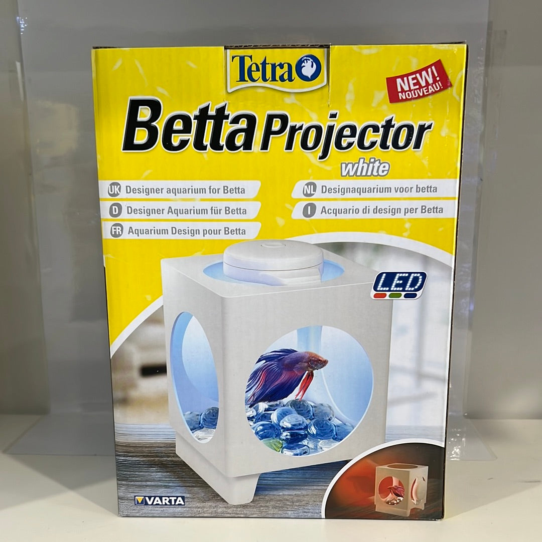 Tetra Betta Projector plastic tank 1.8L – Tropical Aquarium