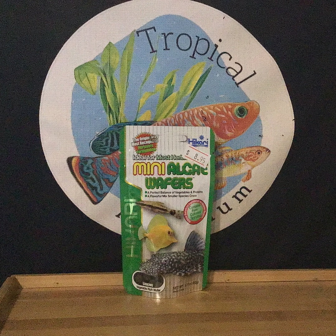 Hikari Mini Algae Wafers – Tropical Aquarium